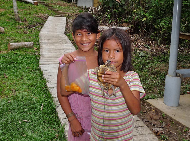 Hot Stove Herping: Peruvian Interlude Part 2 - Field Herp Forum